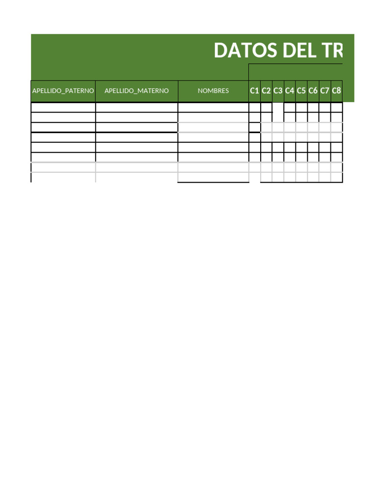 _formato excel ok | PDF