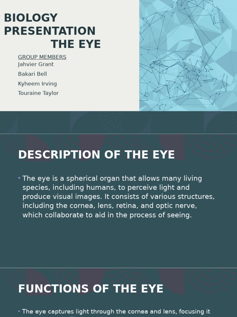 BIOLOGY EYE Presentation | PDF