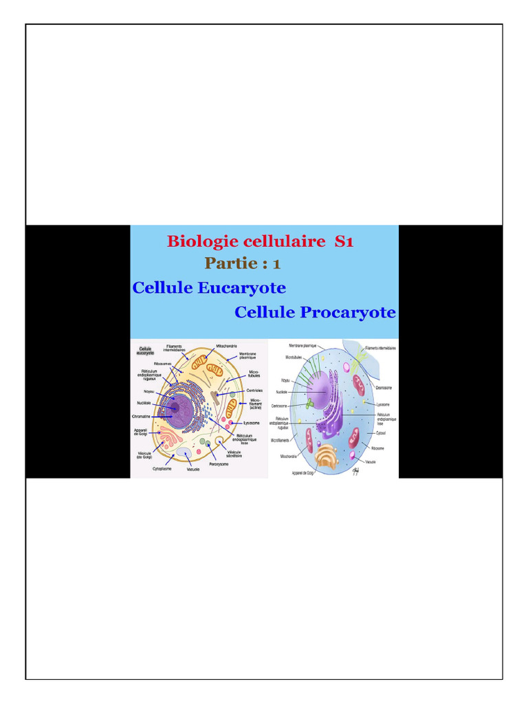 Image To PDF 20250226 080849 | PDF