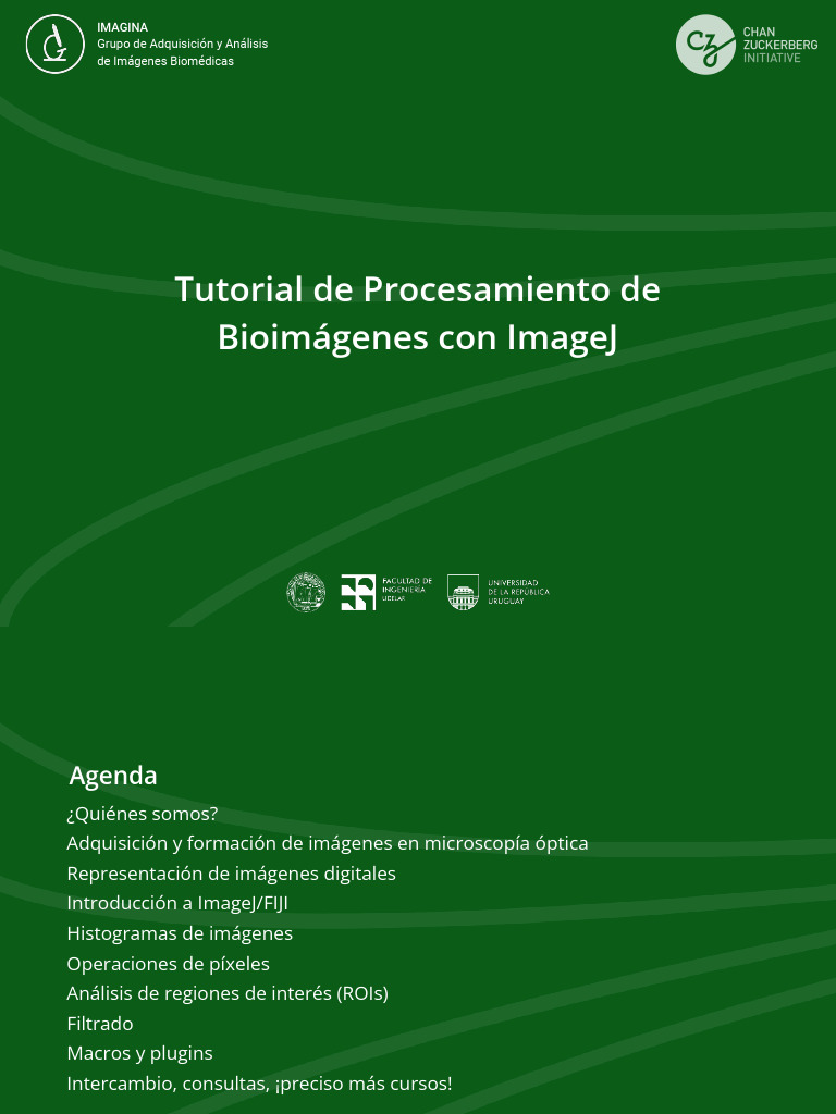 Procesamiento de Bioimágenes con ImageJ | PDF | Píxel | Procesamiento de imágenes