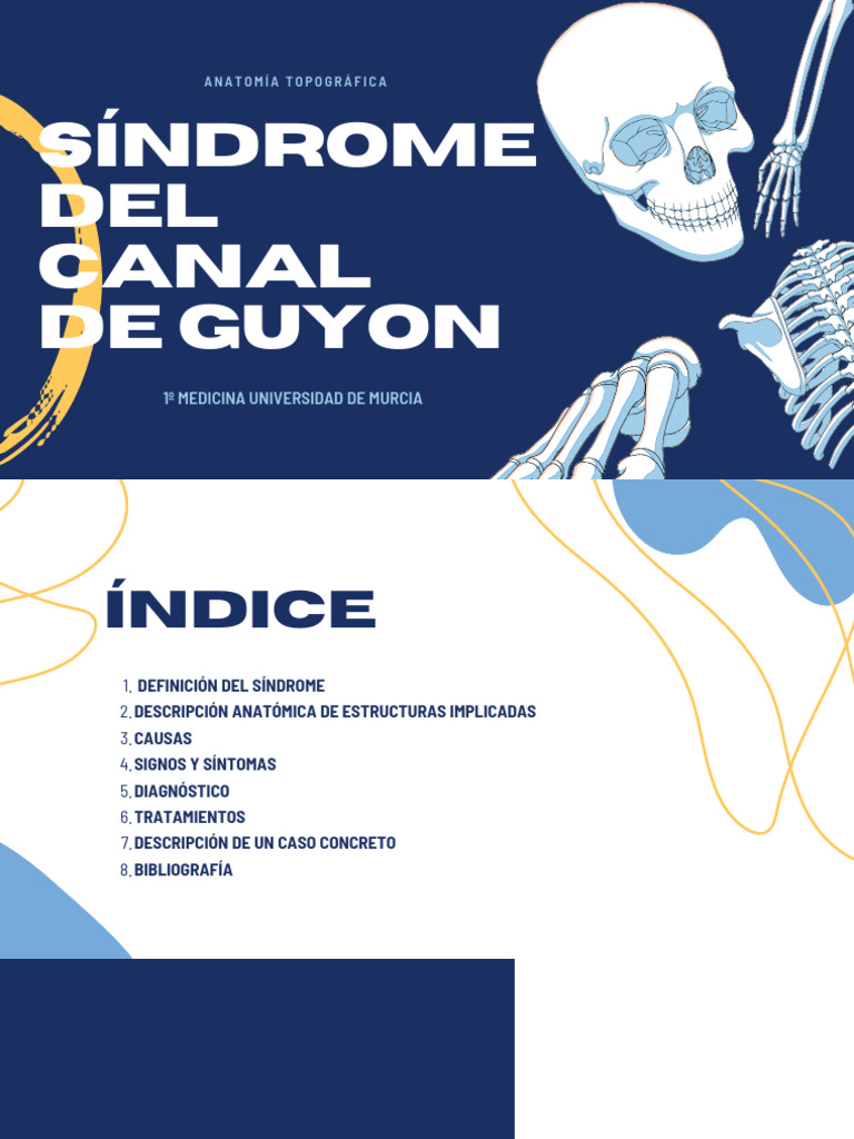 Anatomía del Canal de Guyon | PDF | Extremidades (anatomía) | Sistema ...