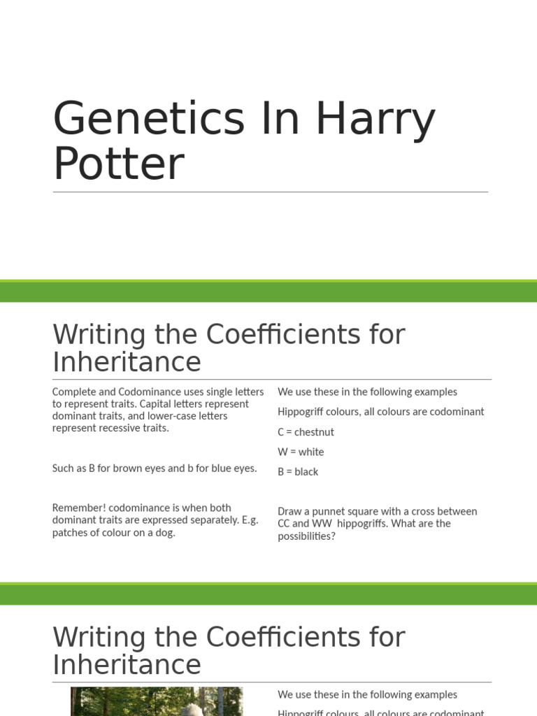 Chalk and Talk - Genetics in Harry Potter | PDF | Dominance (Genetics ...