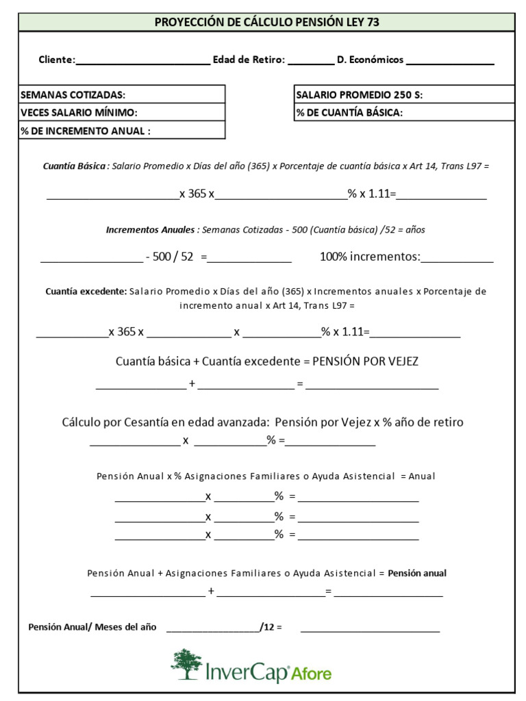 Formato Cálculo Pensión Ley 73 | PDF