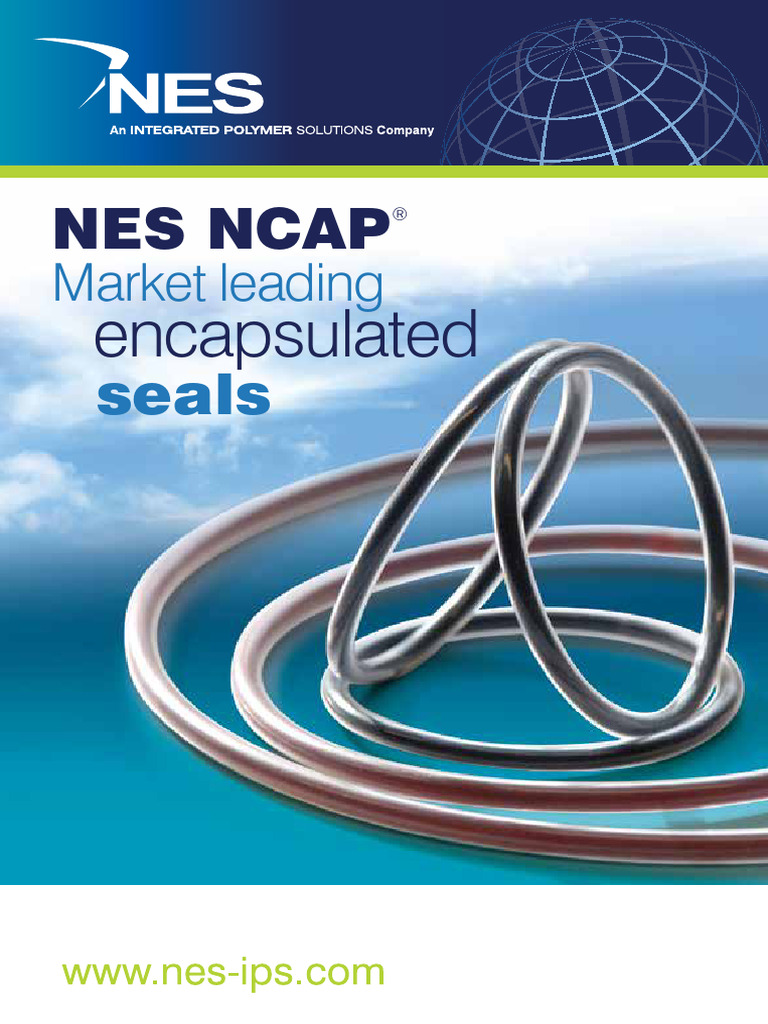 Optimized Encapsulated Seals Solutions | PDF