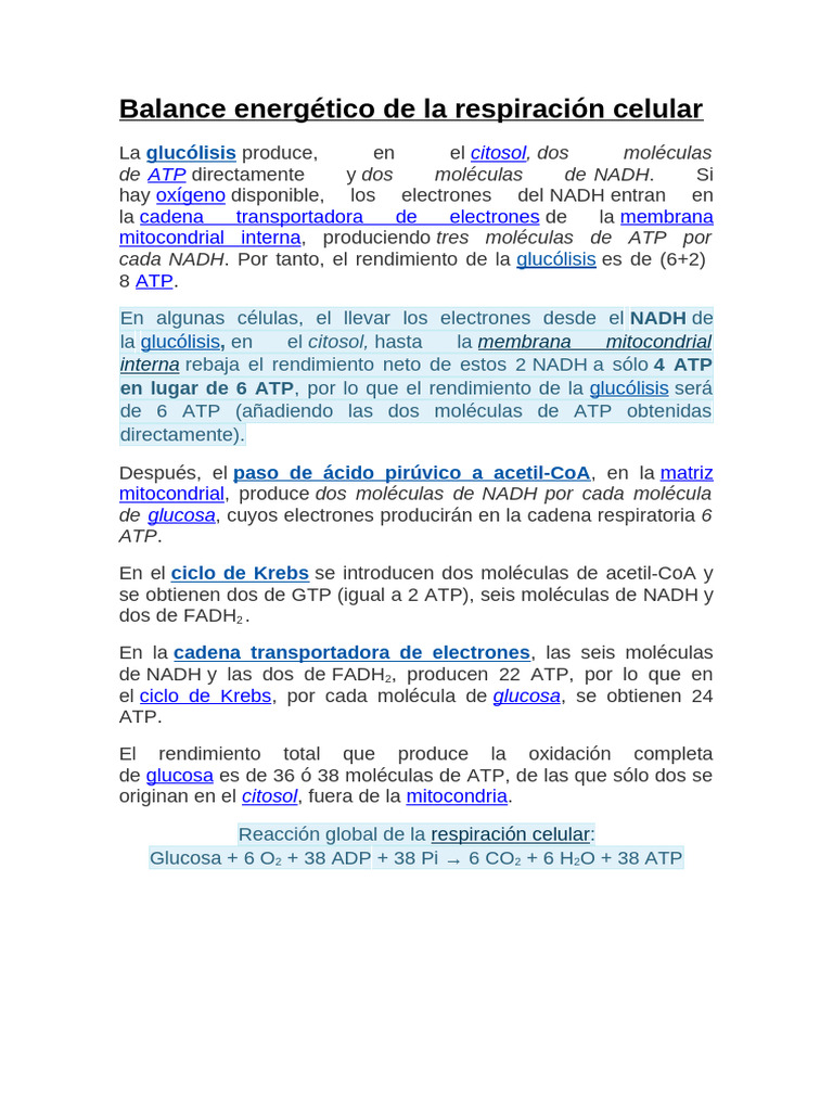 Balance Energético de La Respiración Celular | PDF | Trifosfato de adenosina | Respiración celular