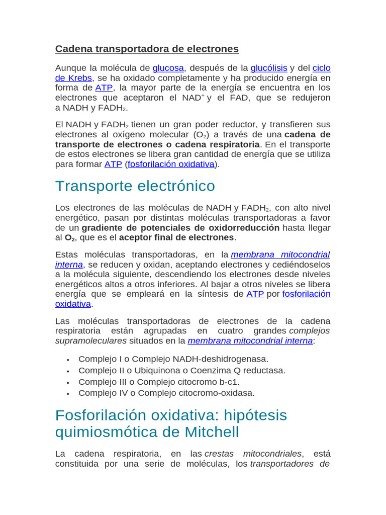Cadena Transportadora de Electrones | PDF | Trifosfato de adenosina | Cadena de transporte de ...