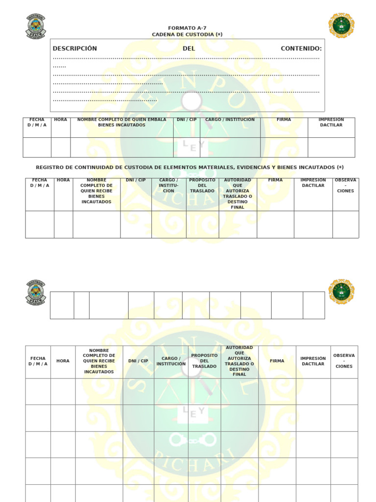 Formato A-7 Cadena de Custodia | PDF