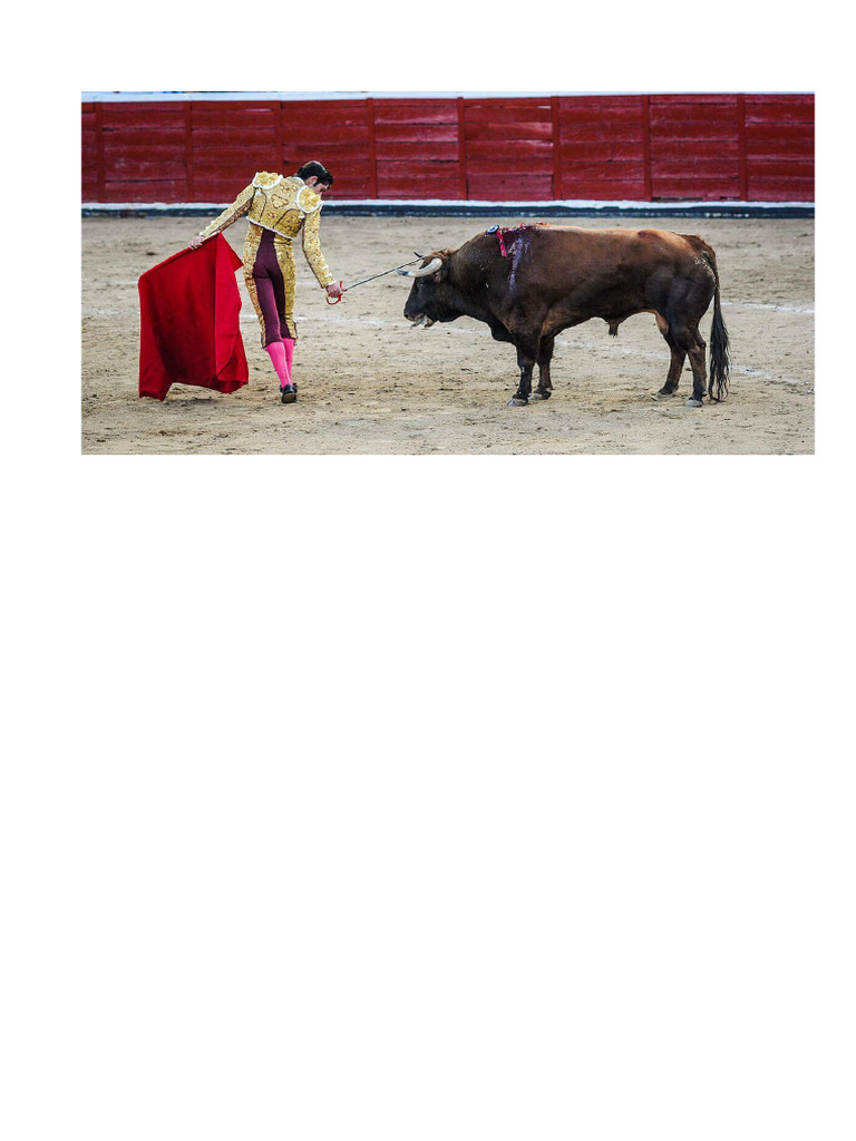 toro torero | PDF