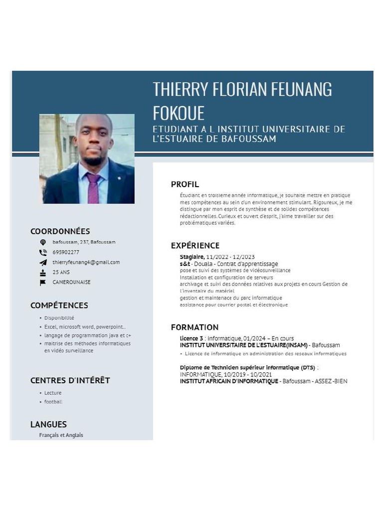 cv FEUNANG FOKOUE THIERRY FLORIAN | PDF