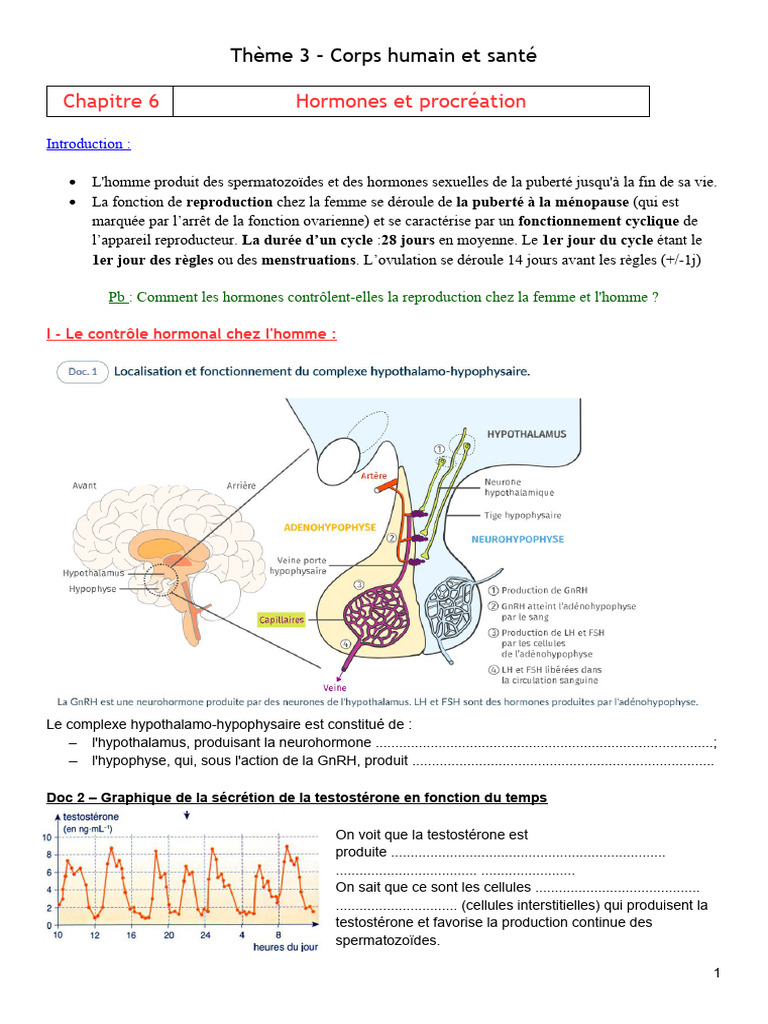 Hormones Polycopie Eleve | PDF | Hypothalamus | Reproduction humaine
