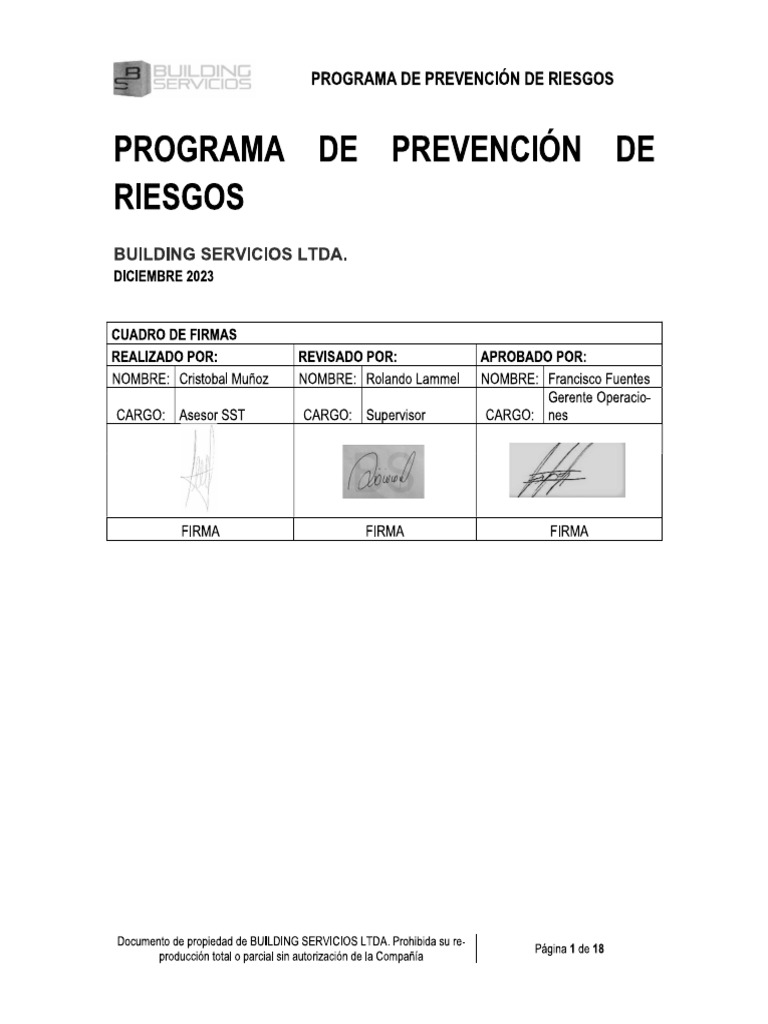 Programa de prevencion | PDF