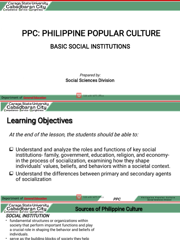 Basic Social Institutions of Socialization | PDF | Institution | Family