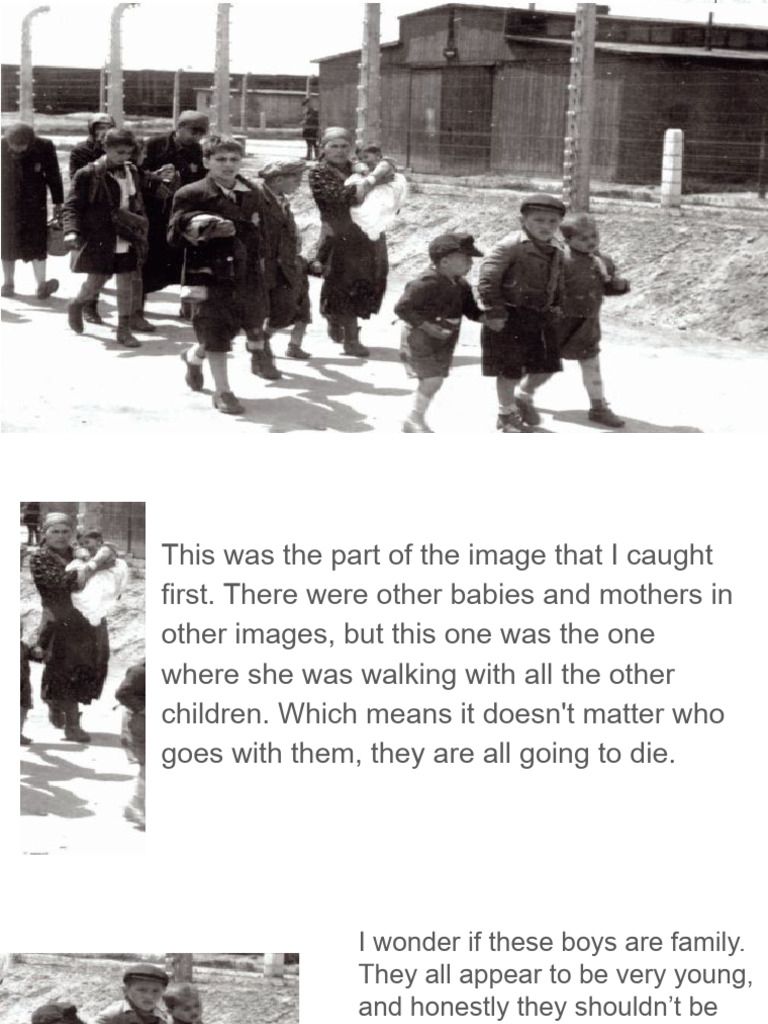 Auschwitz Album Analysis | PDF