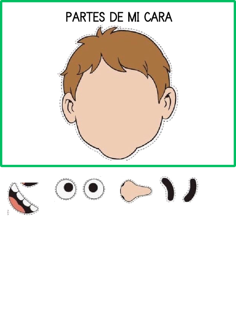 Partes de Mi Cara Chico | PDF