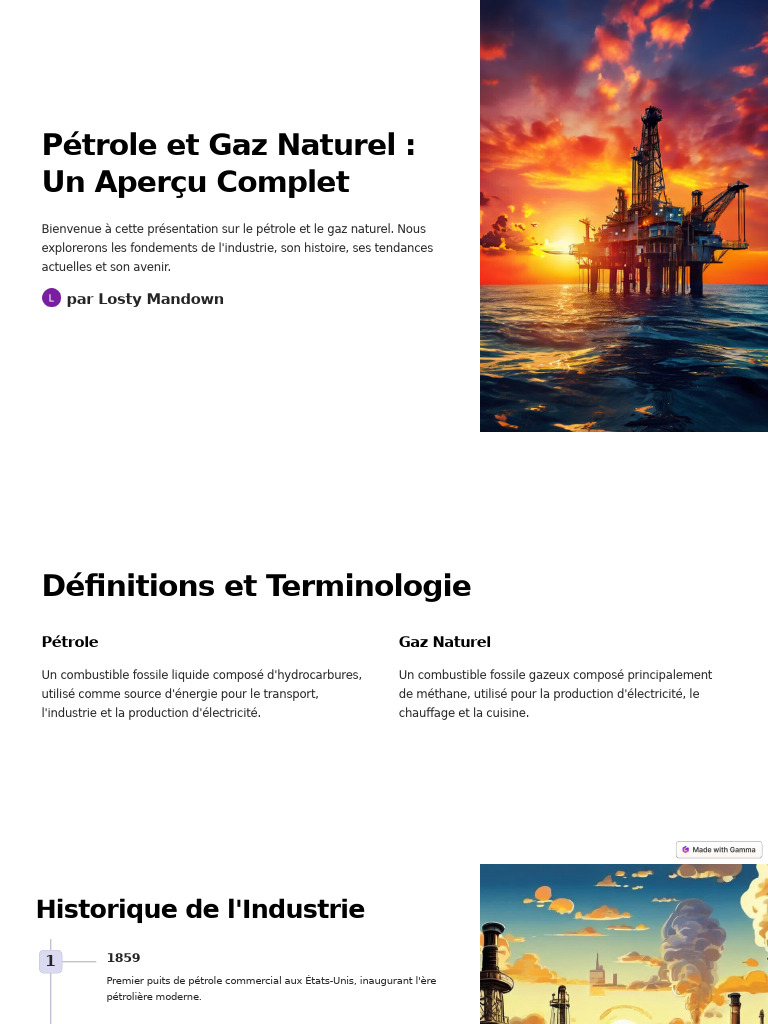 Petrole Et Gaz Naturel Un Apercu Complet | PDF | Pétrole | Gaz naturel