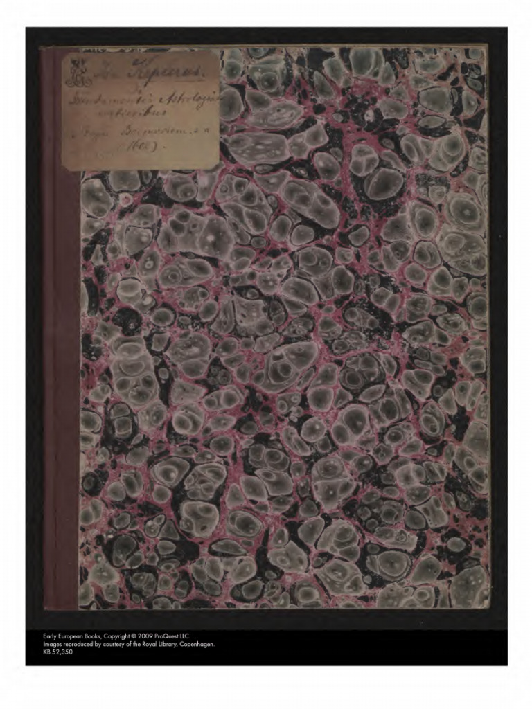 Den KBD Pil 20002065 001 - Text | PDF