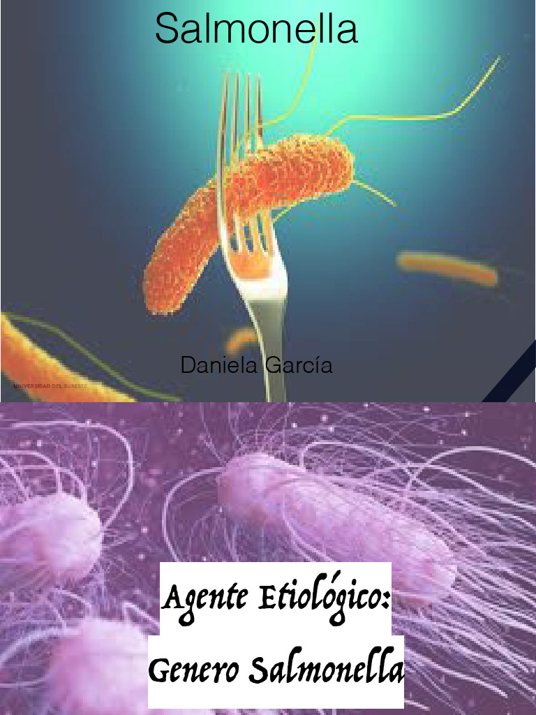 Salmonella | PDF | Salmonela | Microbiología
