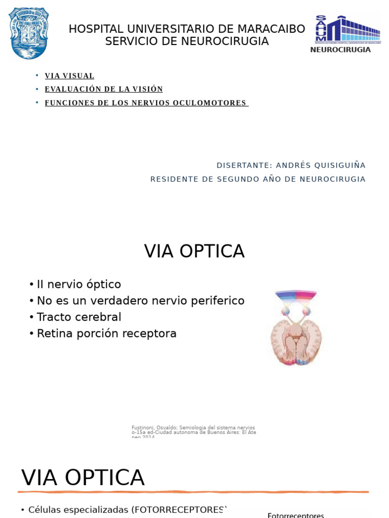 VIA OPTICA Y OCULOMOTORES neurocirugia | PDF | Percepción visual | Ojo ...