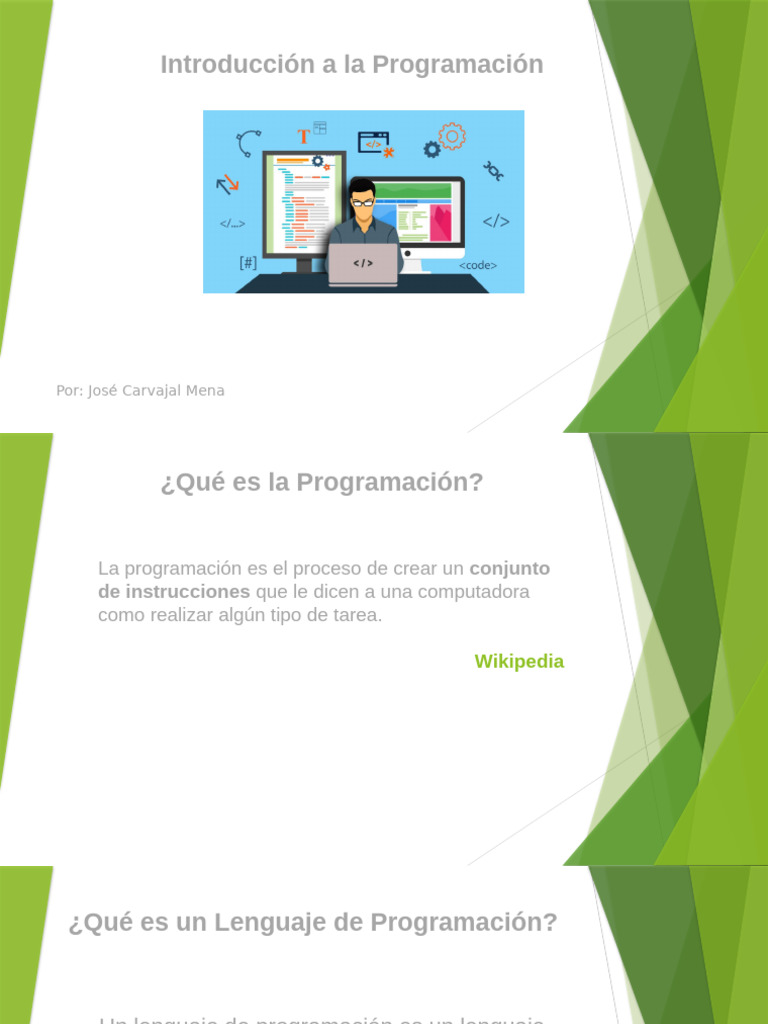 Introduccion A La Programacion | PDF