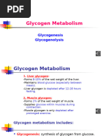 Blood Glucose Homeostasis Flowchart | PDF