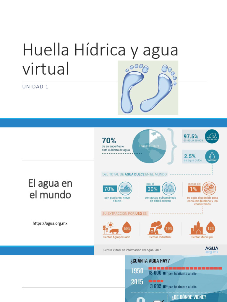 06 Huella Hídrica y agua virtual | PDF | Textiles | Agua