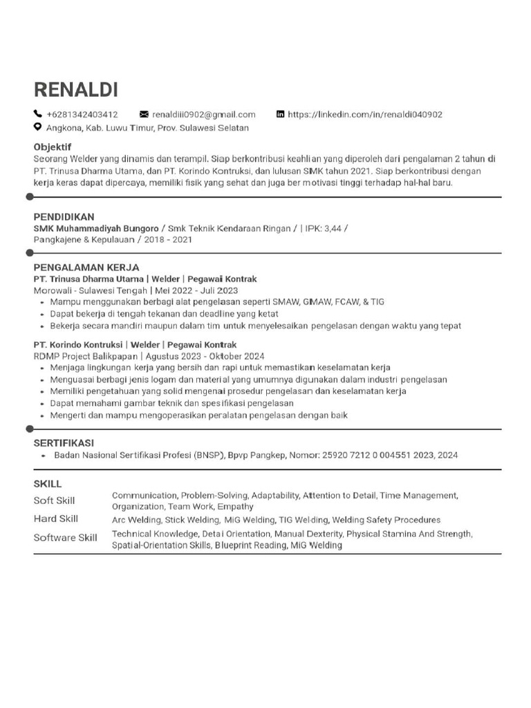 Curriculum Vitae (CV) Renaldi | PDF