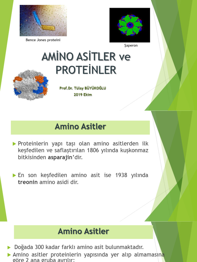 Aminoasitler Ve Proteinler | PDF