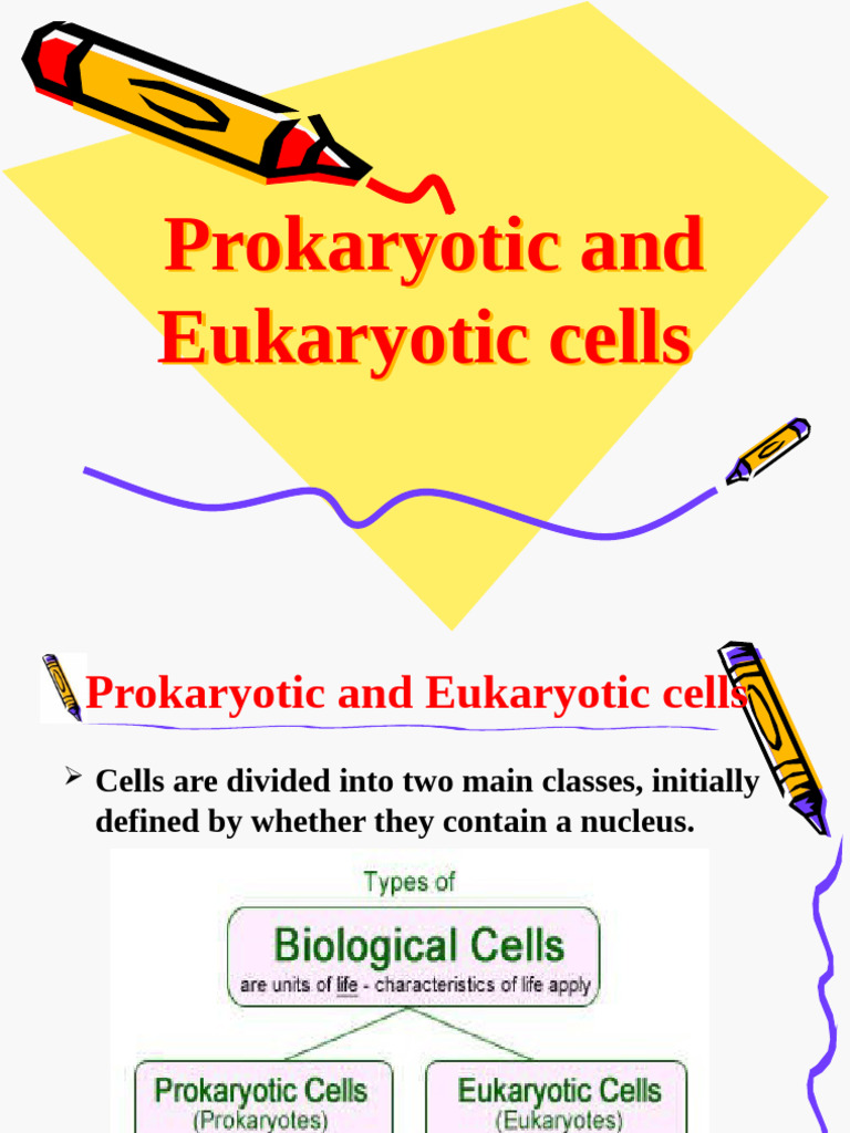 Prokaryotic vs Eukaryotic Cells Explained | PDF | Cell (Biology ...