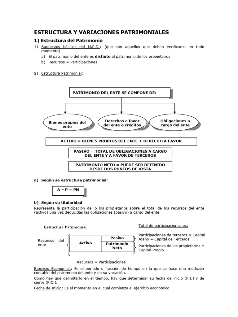 Estructura y Variaciones Patrimoniales | PDF | Valor neto | Contabilidad