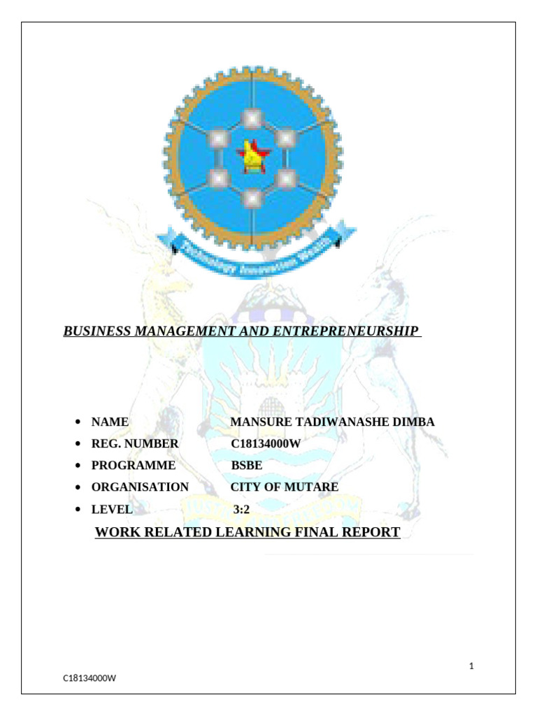 TADIWA_MAIN_REPORT | PDF | Invoice | Expense