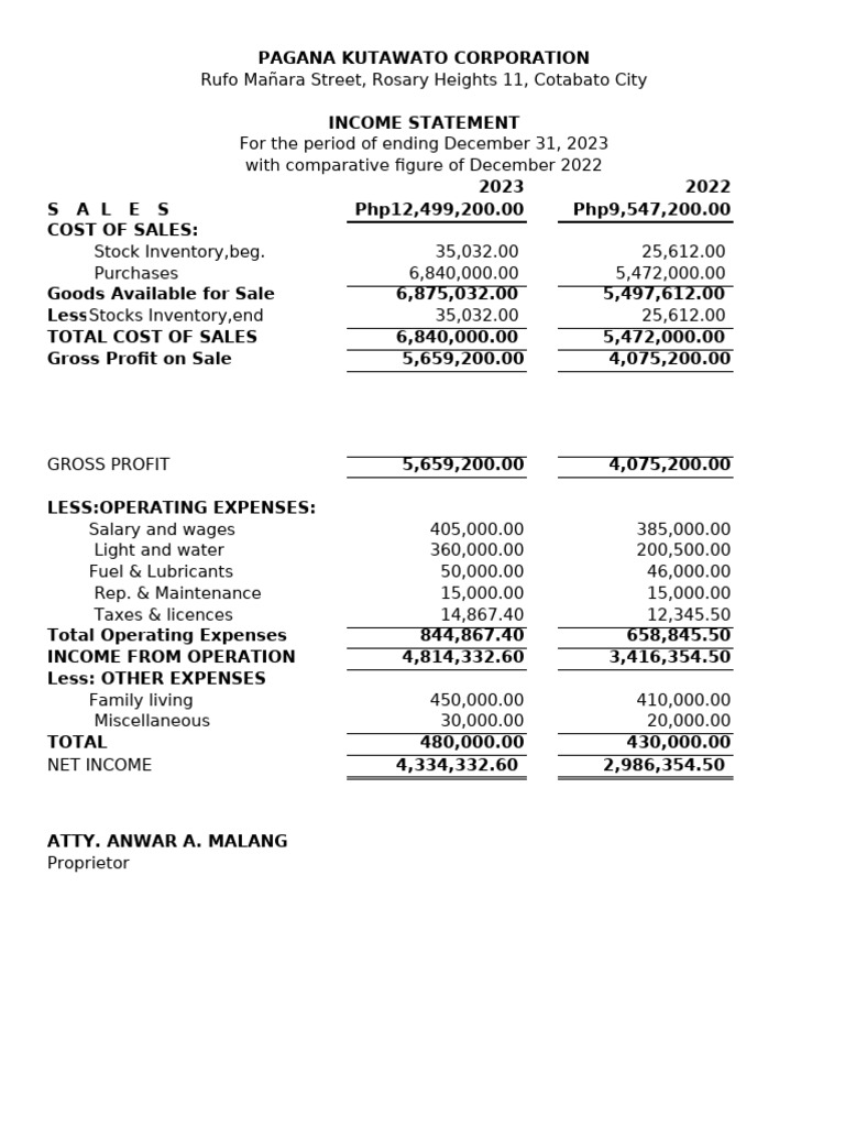 FINANCIAL STATEMENT-Sample | PDF | Balance Sheet | Equity (Finance)