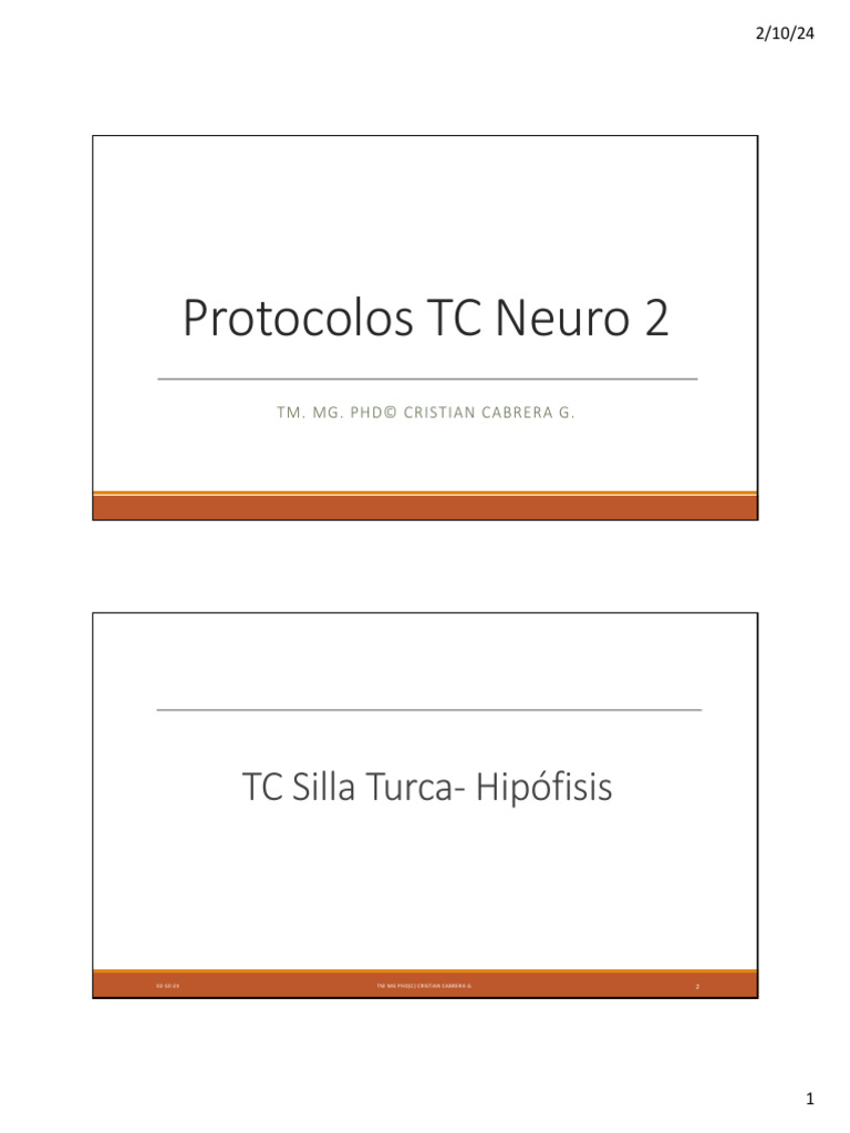 6 Neuro 2 - 241016 - 154239 | PDF | Glándula pituitaria | Anatomía humana