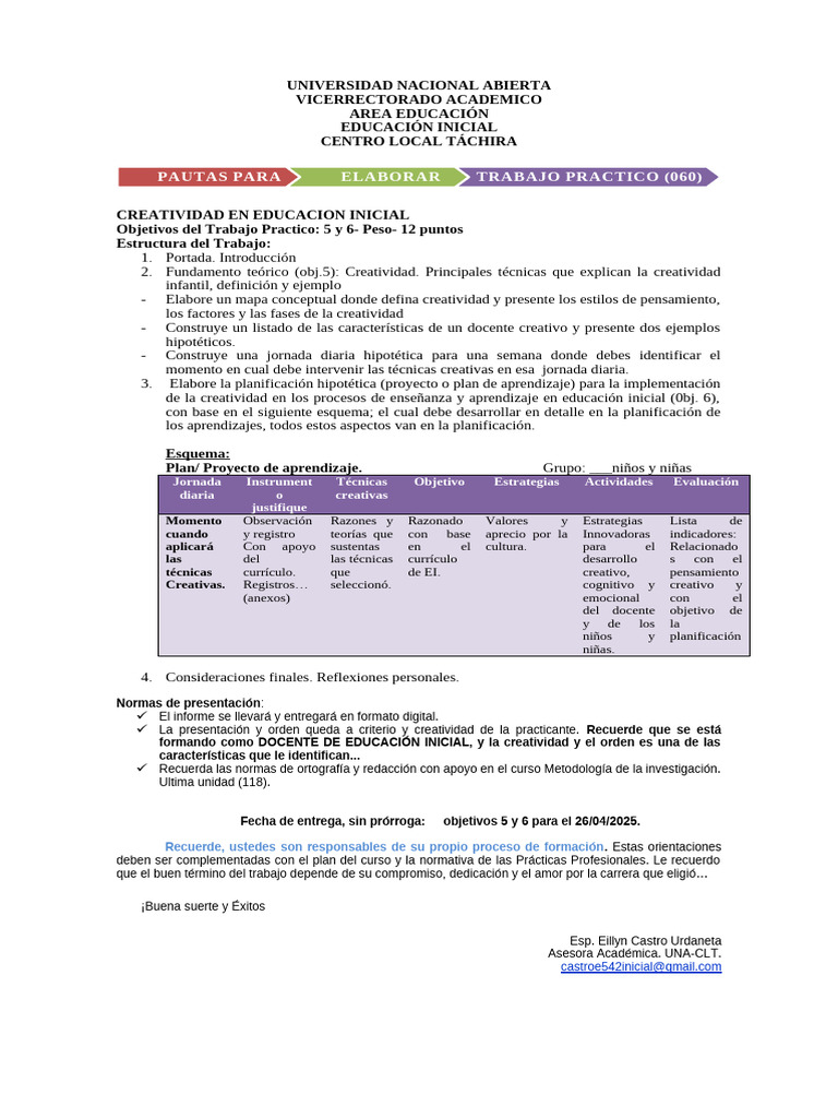 Orientaciones 060 2025-1 | PDF | Creatividad | Plan de estudios