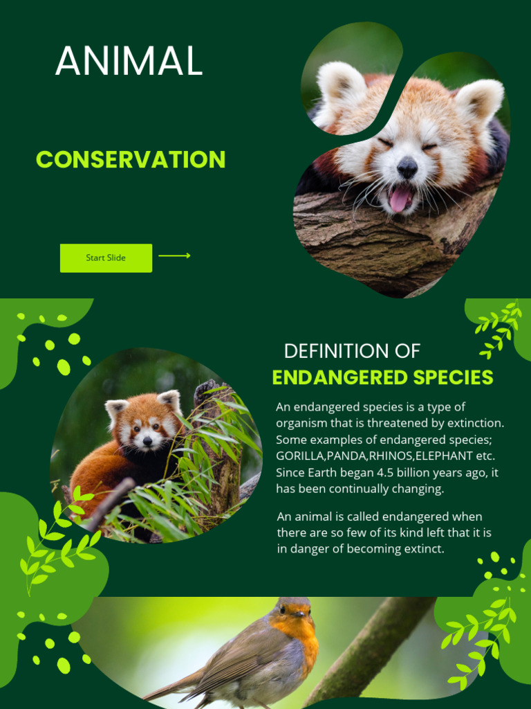 Endangered Species Science Presentation | PDF | Endangered Species ...