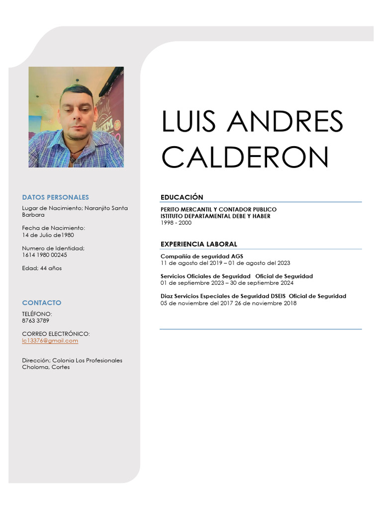 Curriculum Luis Adres Calderon | PDF