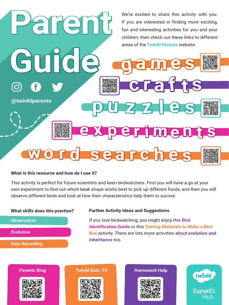 Bird Beak Adaptations Activity Guide | PDF | Beak | Birds
