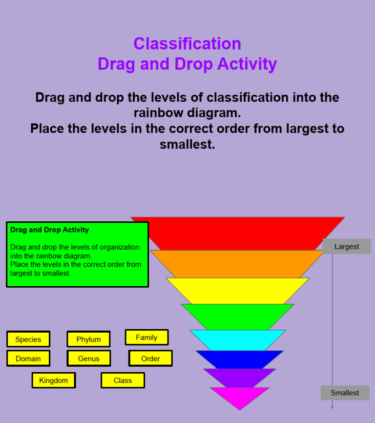 Classification Drag and Drop Activity | PDF