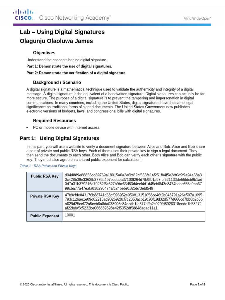 Digital Signatures Lab Guide | PDF | Espionage Techniques | Cryptography