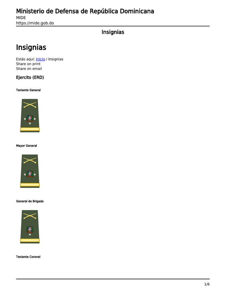 Insignias | PDF