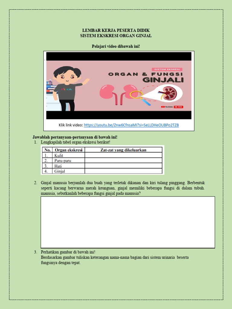 Sistem Ekskresi: Fungsi Ginjal dan Nefron | PDF