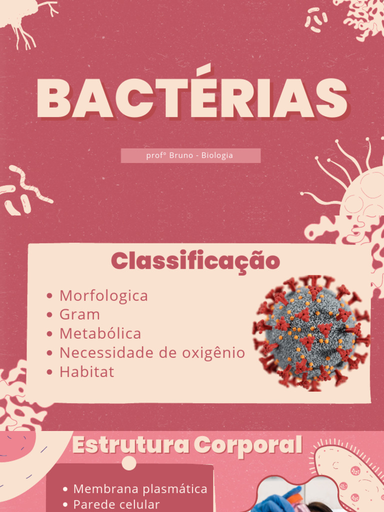 Introdução às Bactérias: Estrutura e Reprodução | PDF