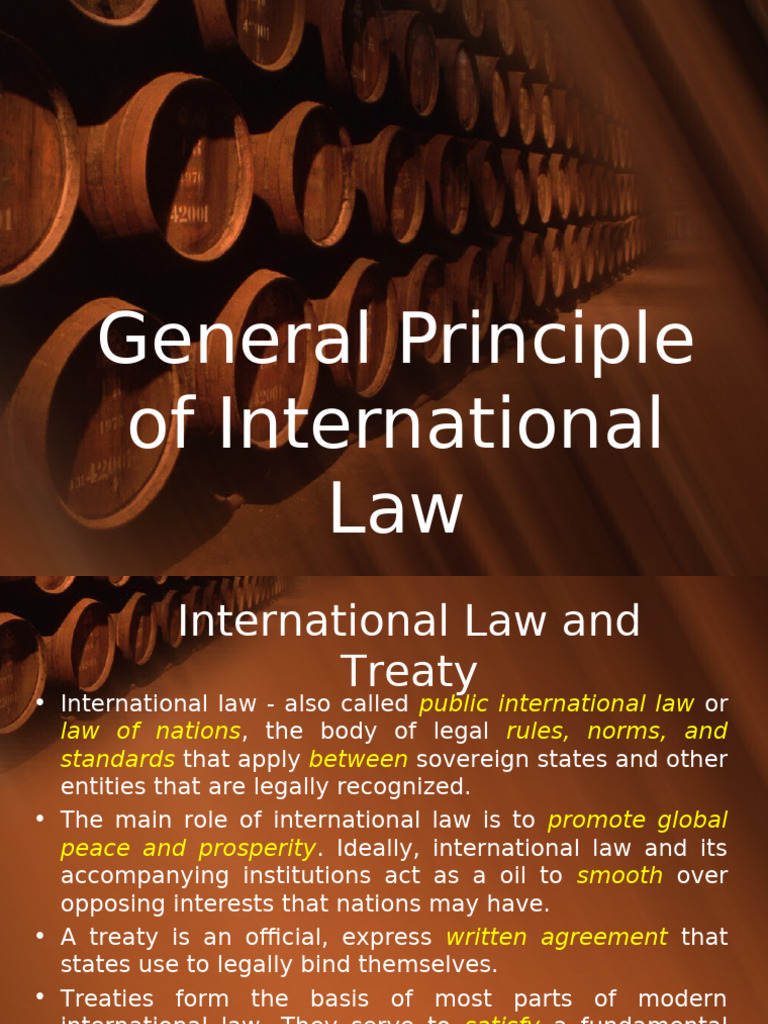 Principles of International Law | PDF | International Law | Treaty