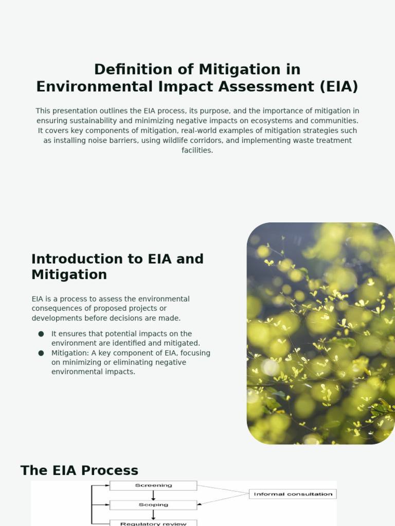 Mitigation Strategies in Environmental Impact Assessment | PDF ...