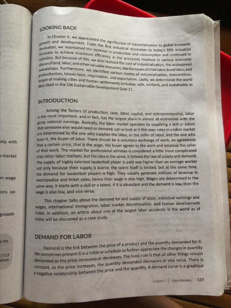 Labors Market Book | PDF