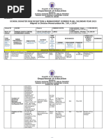 Nosa 2025 Template | PDF