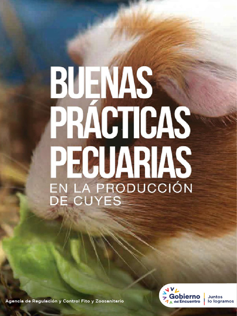 buenas practicas produccion de cuyes | PDF | Residuos | Alimentos