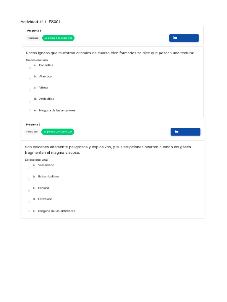 Actividad #11 FS001 | PDF