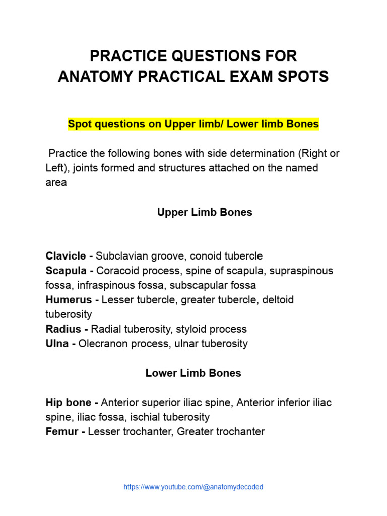 Anatomy Practical Exam Spot Guide | PDF | Human Leg | Pelvis