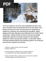 Amur Leopard Fact File | PDF | Leopard | Endangered Species