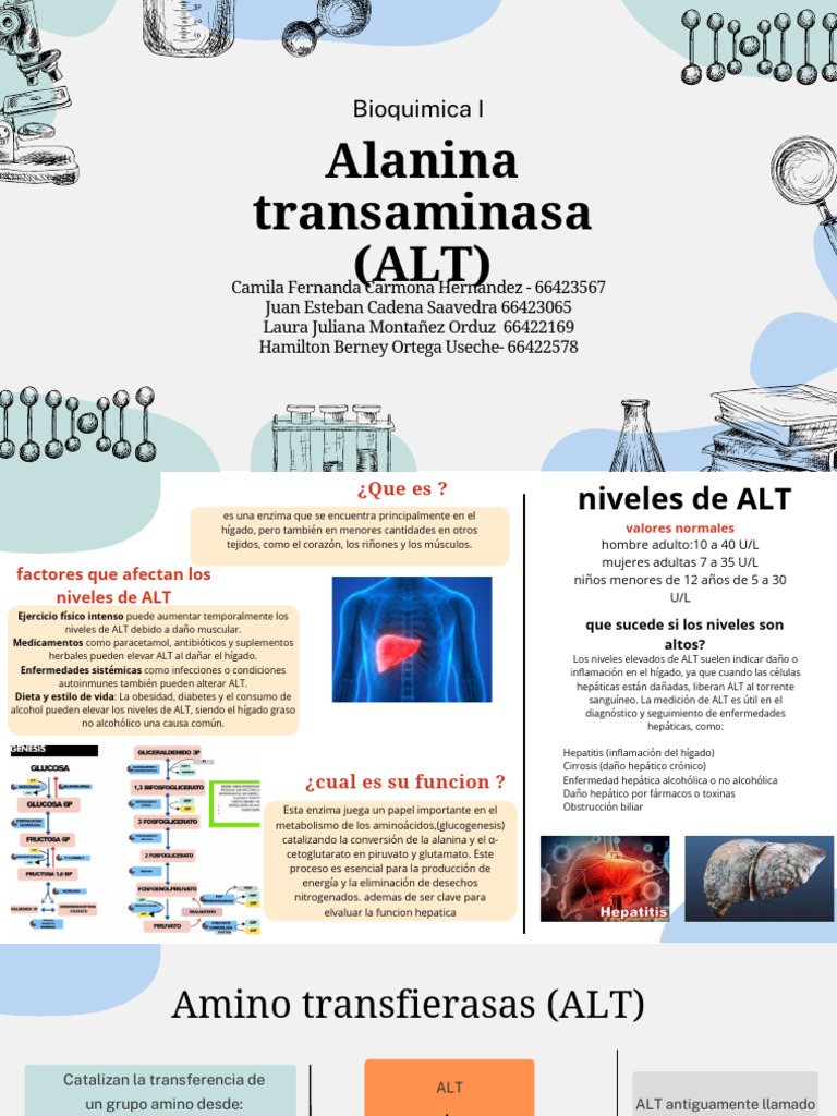 Alanina transaminasa | PDF | Transaminasa | Enfermedades y trastornos